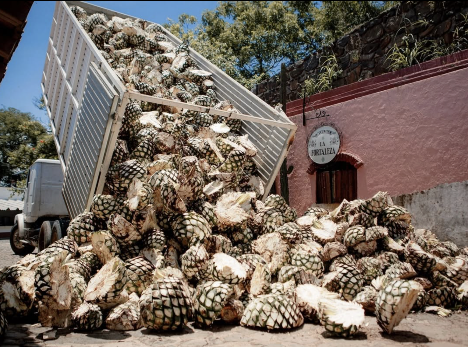 Bebidas | El Perro Negro